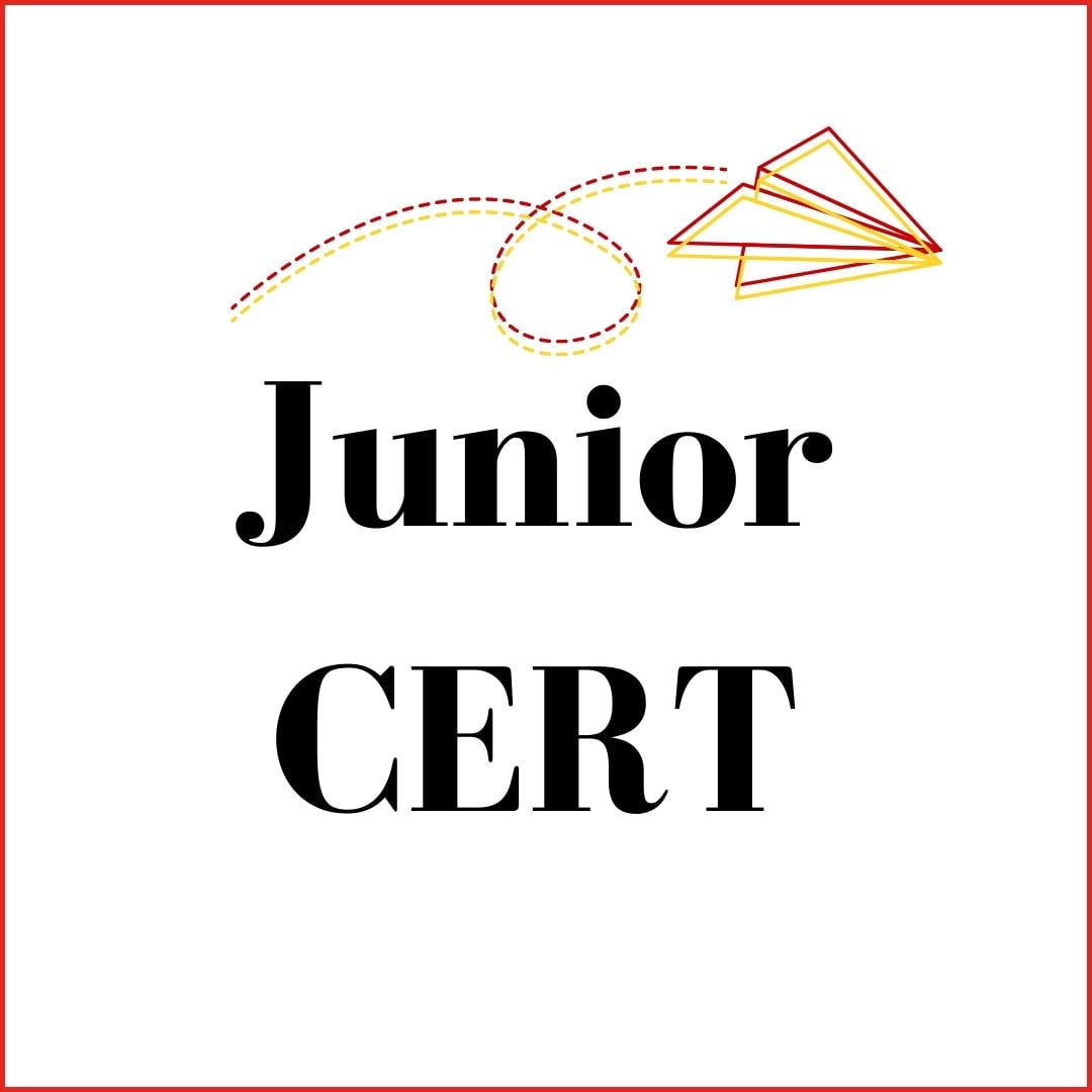 Junior CERT Escuela OnLine De Silvina s Languages Team Junior CERT Escuela OnLine De Silvina s Languages Team